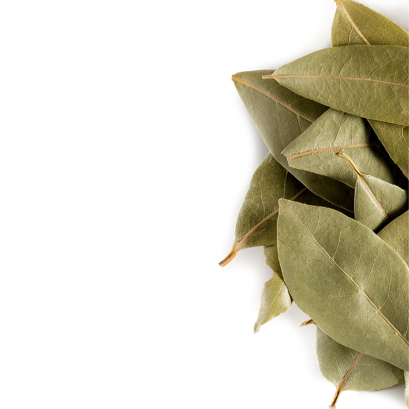 Bay Laurel - Valley of Tea